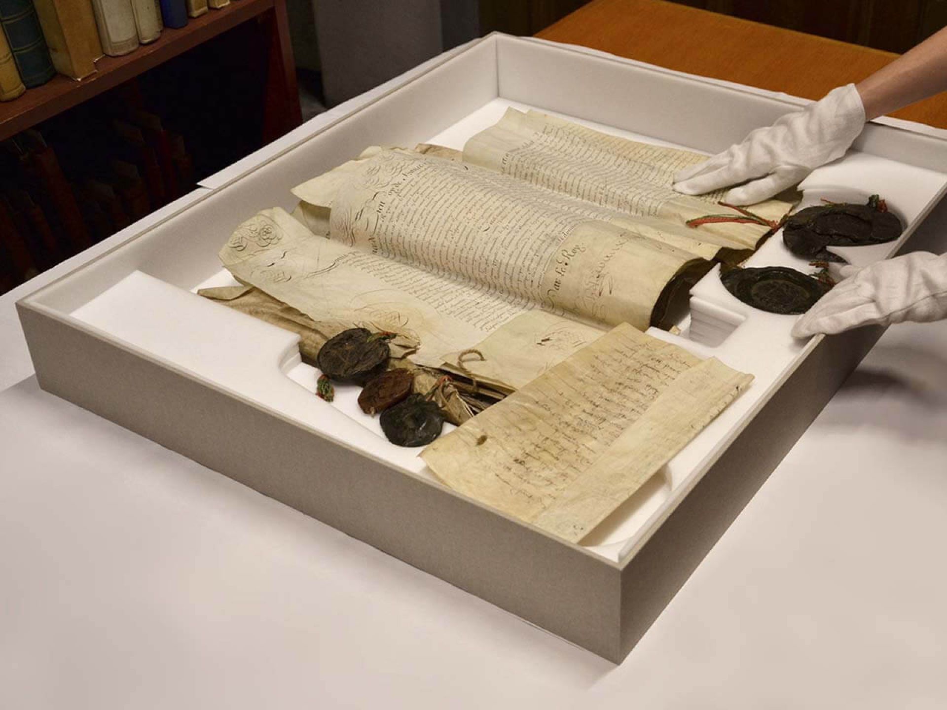 Conservation box for parchment documents | Laurel Parker Book