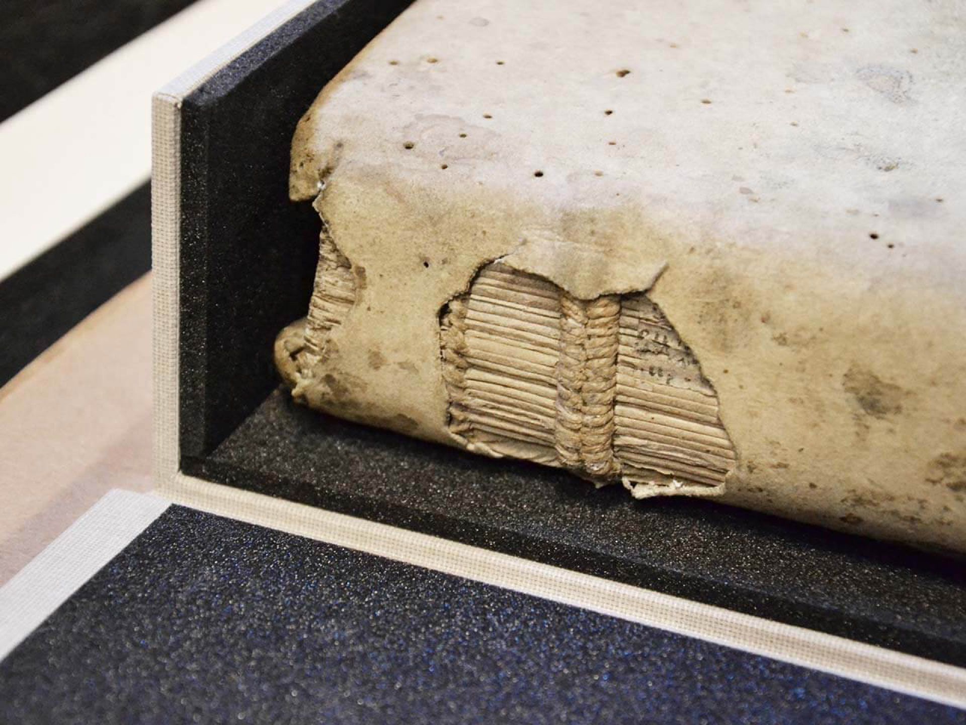 Conservation boxes for the Ecole des Beaux-Arts of Paris | Laurel ...