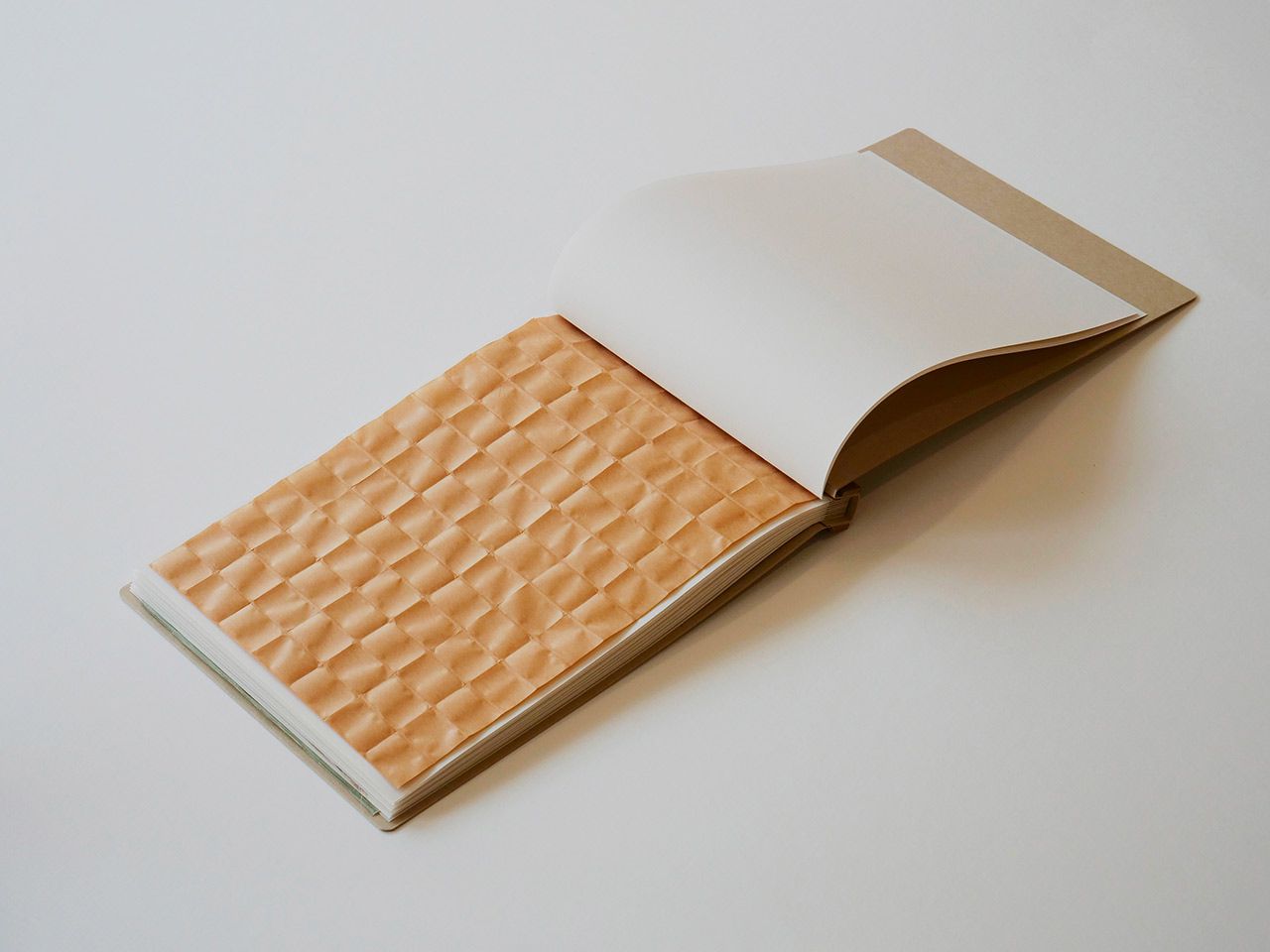 Folded by Hand : Gampi Rectangles | Laurel Parker Book