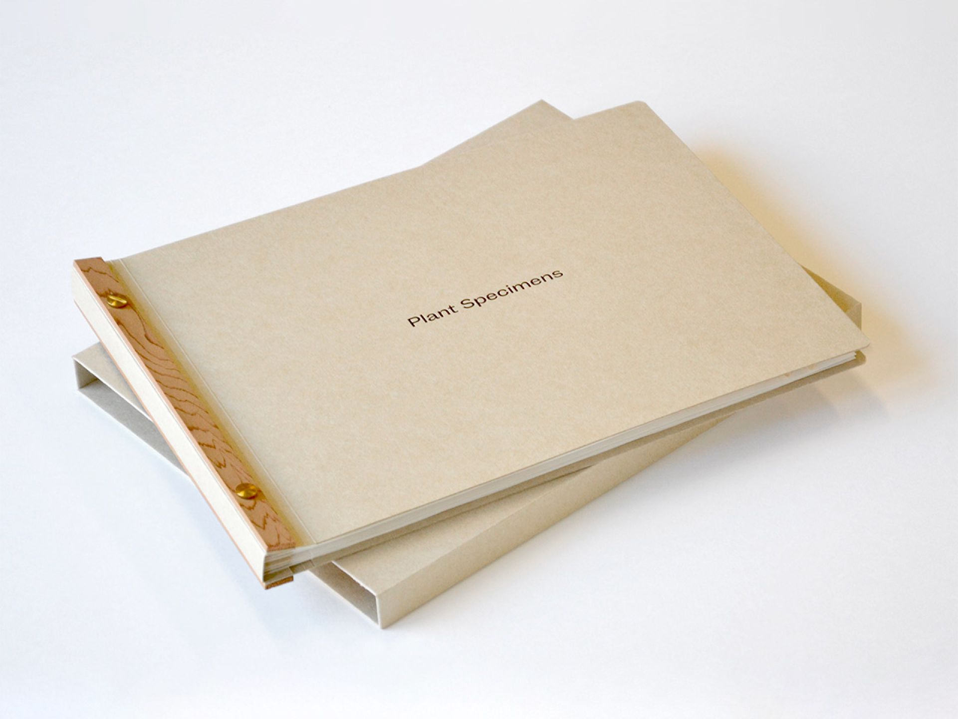 Plant Specimens | Laurel Parker Book